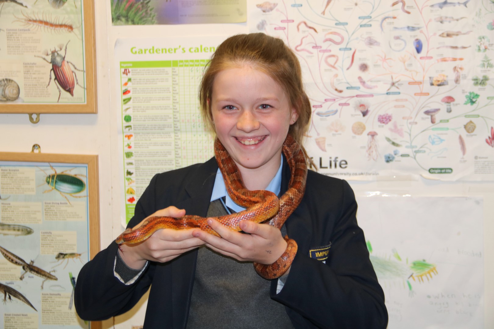 North Oxfordshire Academy > About us > Key Information
